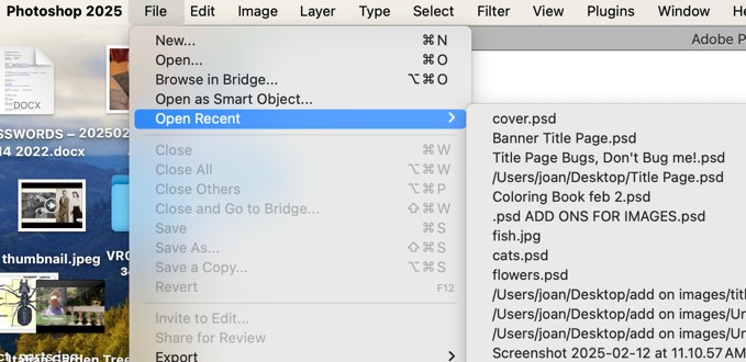 Re: .psd file disappears from Photoshop 2025's Ope... - Adobe Product Community - 15227294